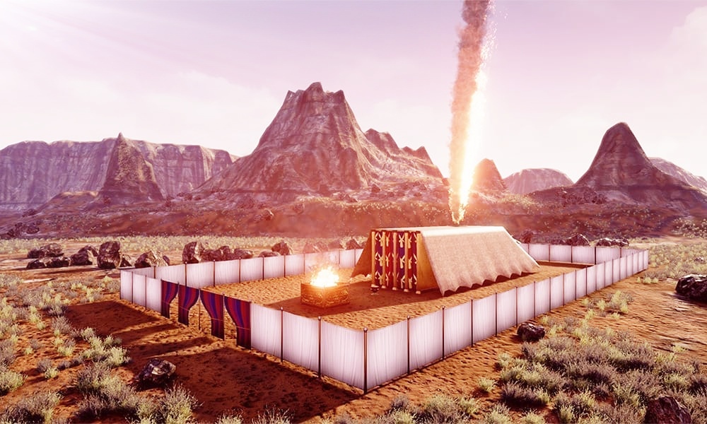 WHAT DOES THE BLESSED BIBLE SAY? – THE SANCTUARY – The Cleaver